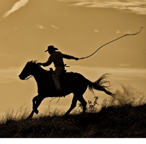 Lab Tour – Yan Group